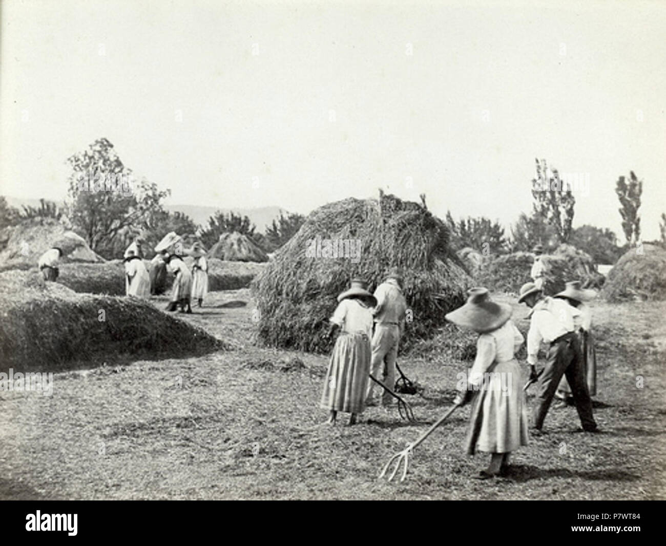Farmers farming 19th century hi-res stock photography and images - Alamy