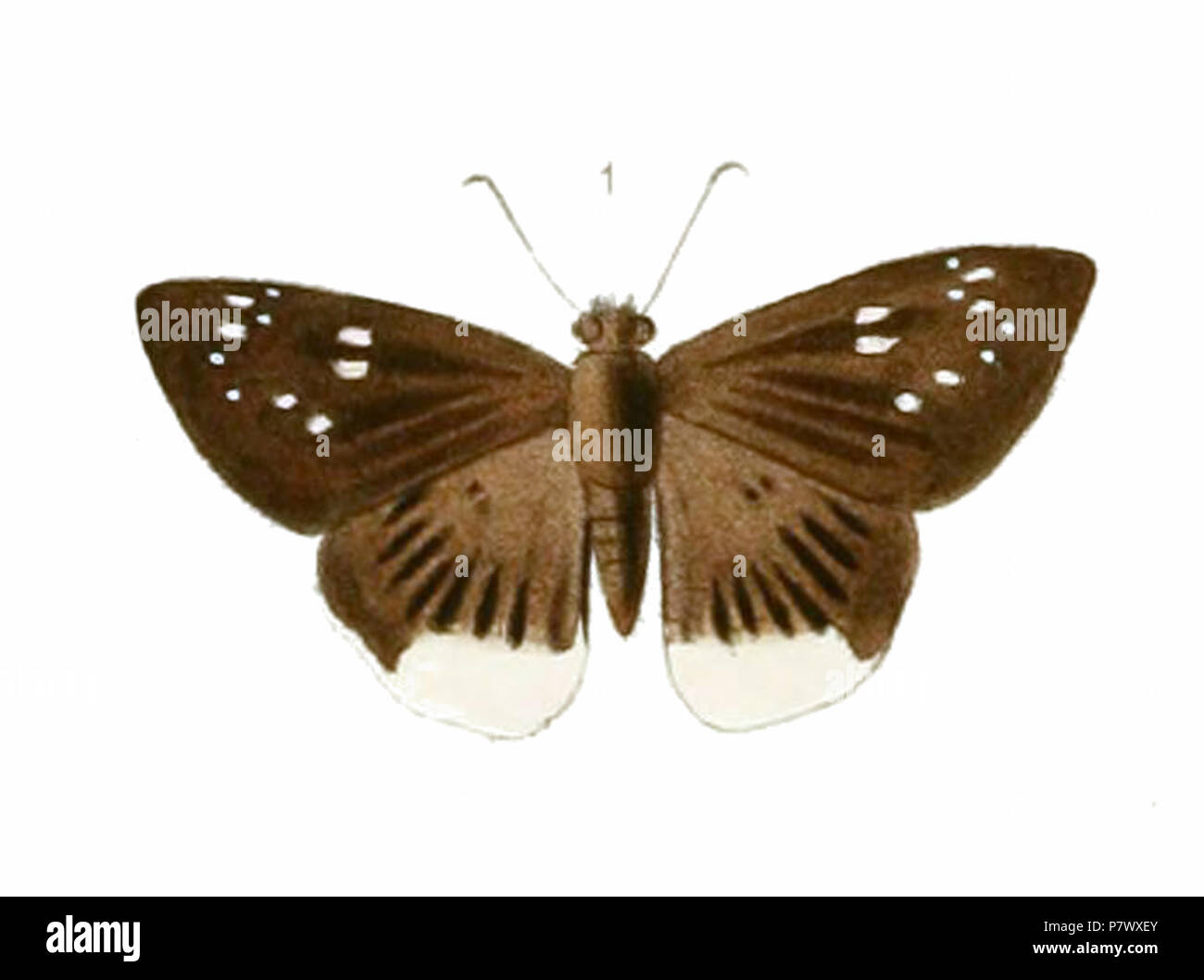 Research teams Cut Out Stock Images & Pictures - Alamy