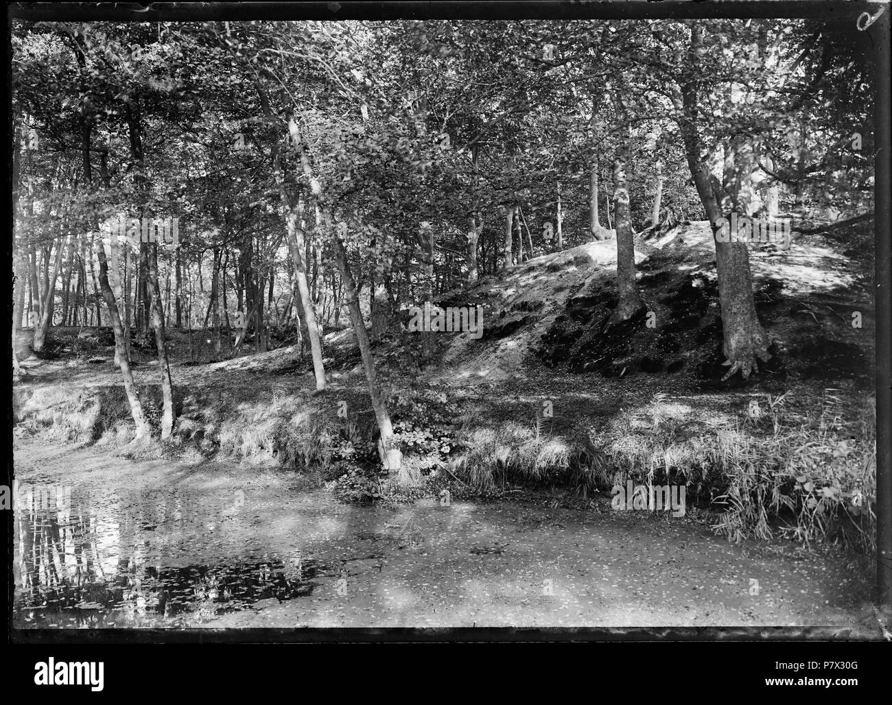 Kattenberg hi-res stock photography and images - Alamy