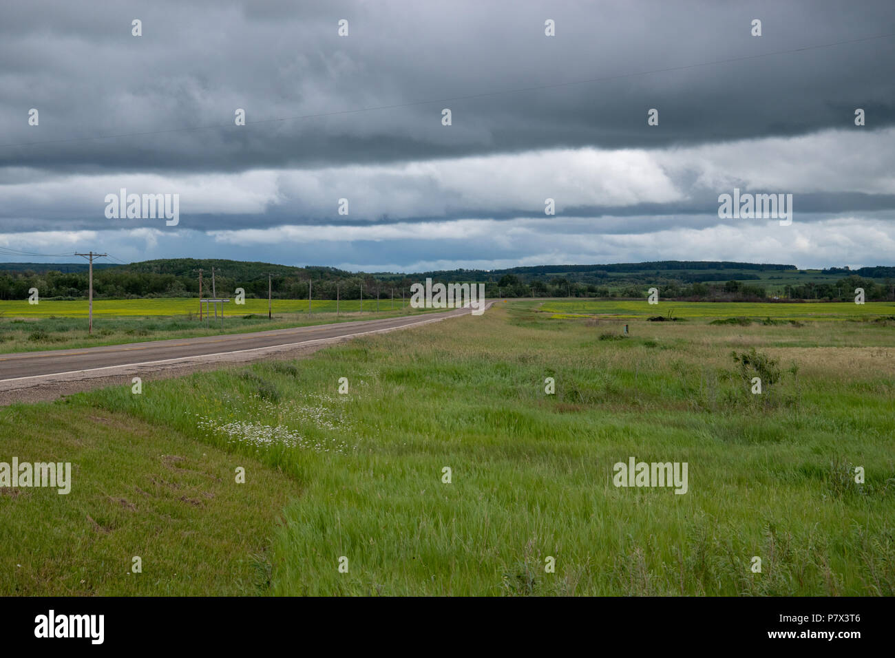 Open field crop production hi-res stock photography and images - Alamy