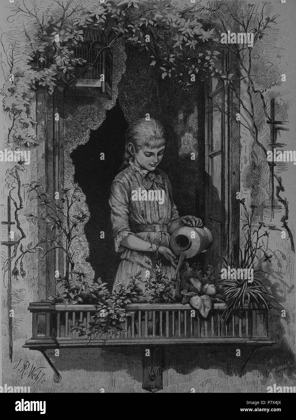 Wehle hi-res stock photography and images - Alamy