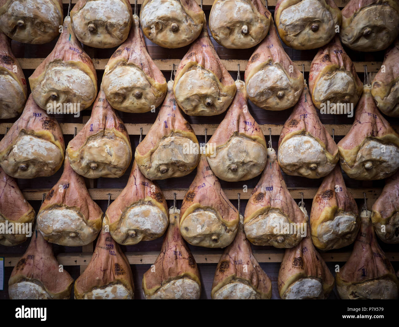 Thighs of ham during the curing process hanging in a cellar Stock Photo ...