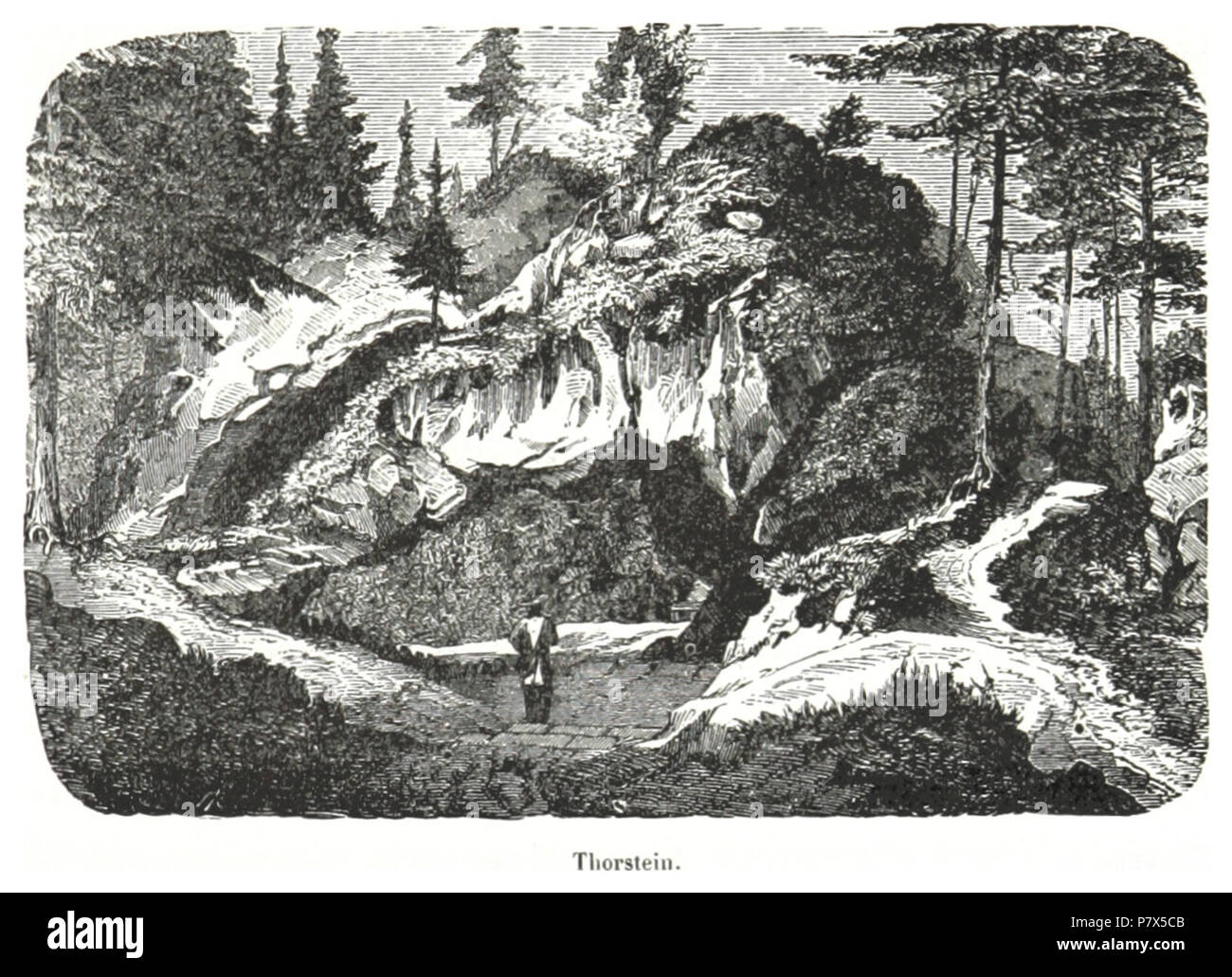 Thorstein hi-res stock photography and images - Alamy