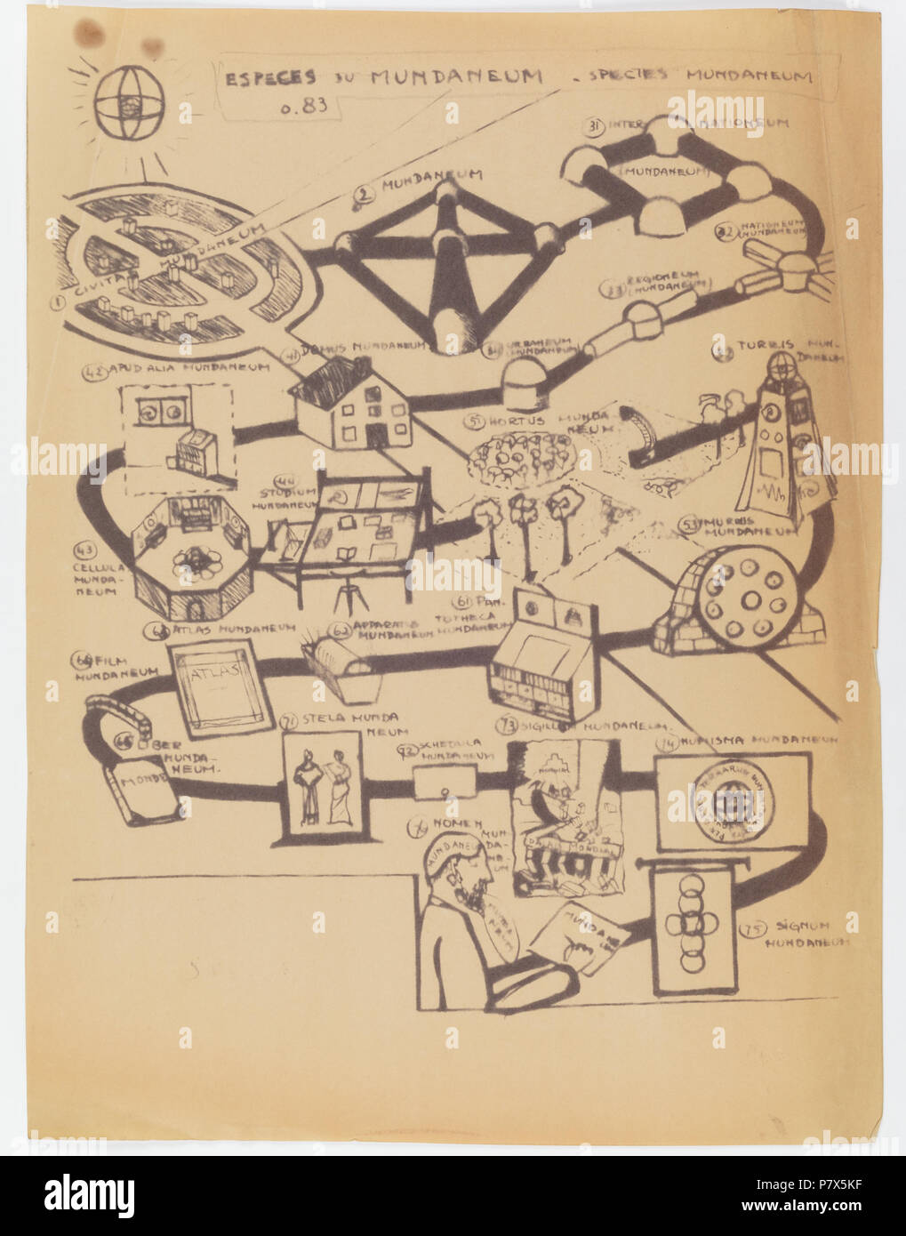 148 Espèces du Mundaneum – Schéma explicatif Stock Photo - Alamy