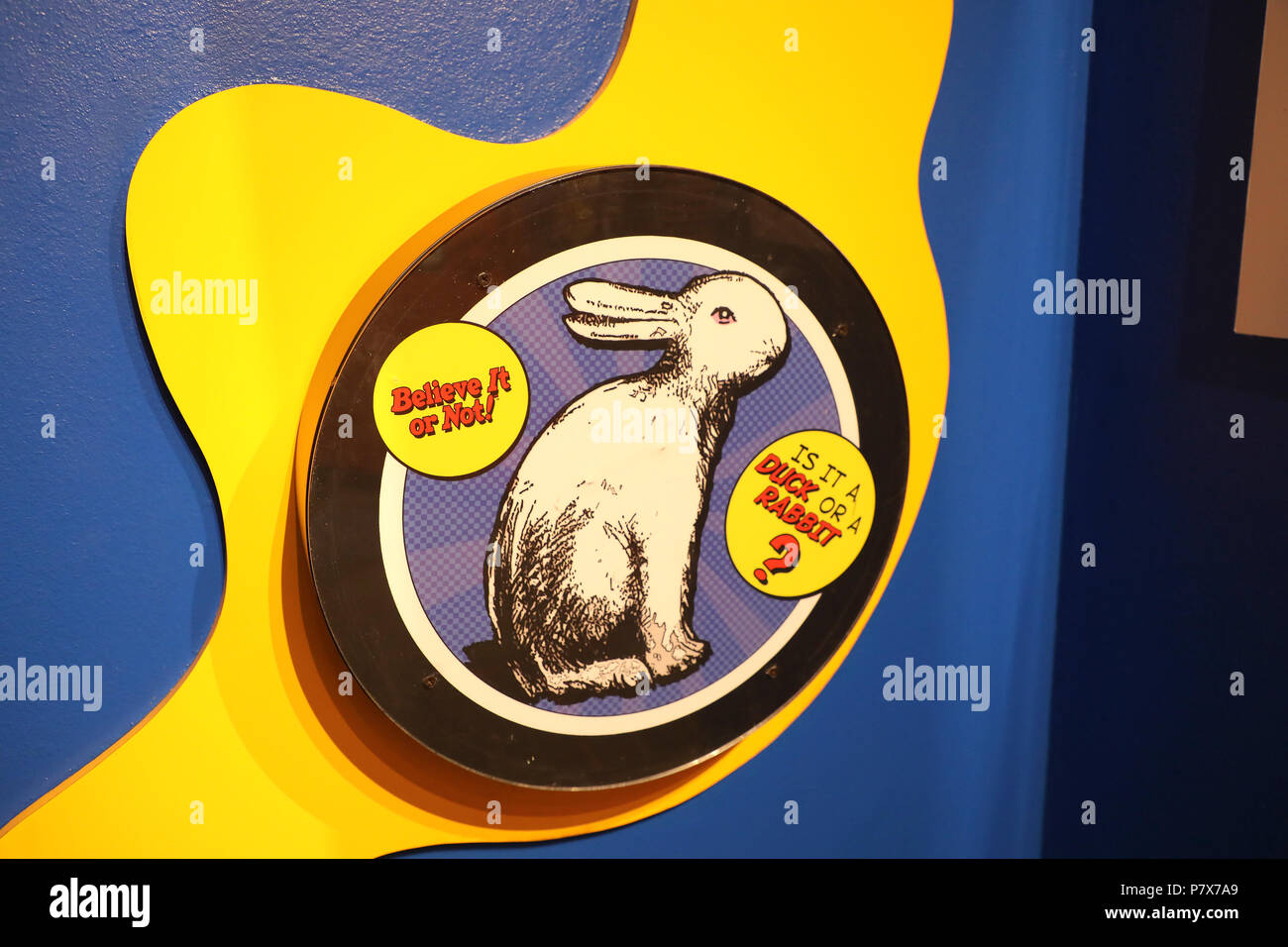 Scary rabbit hi-res stock photography and images - Alamy