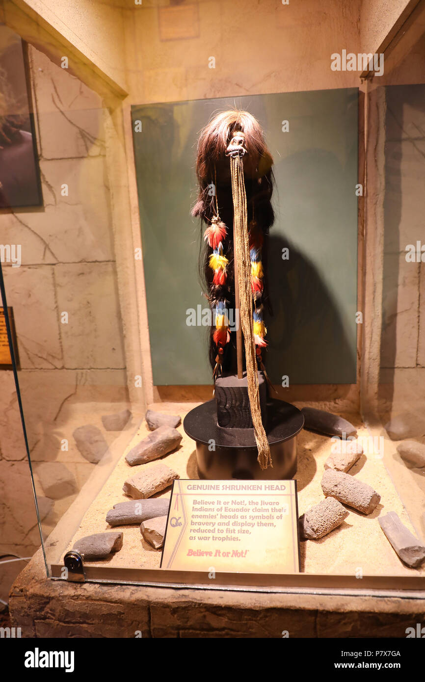 Shrunken head hi-res stock photography and images - Alamy