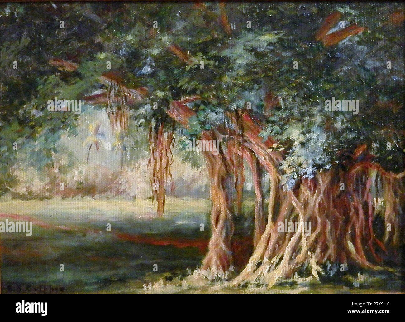 English: Banyon Tree, Rainbow Falls, Hilo, Hawaii by Ethel Shelhamer ...