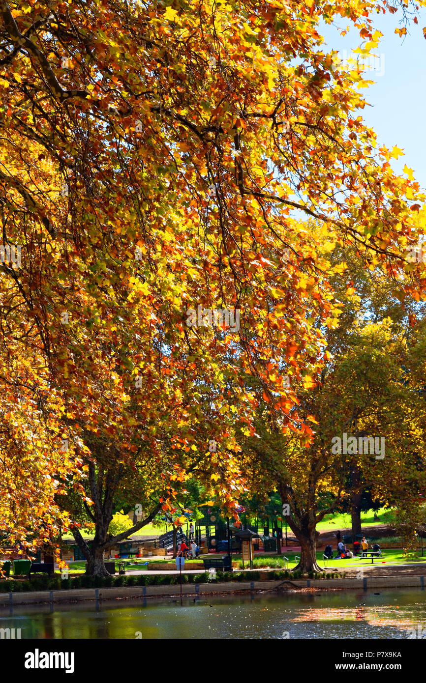 Hyde Park Perth in Autumn Stock Photo - Alamy