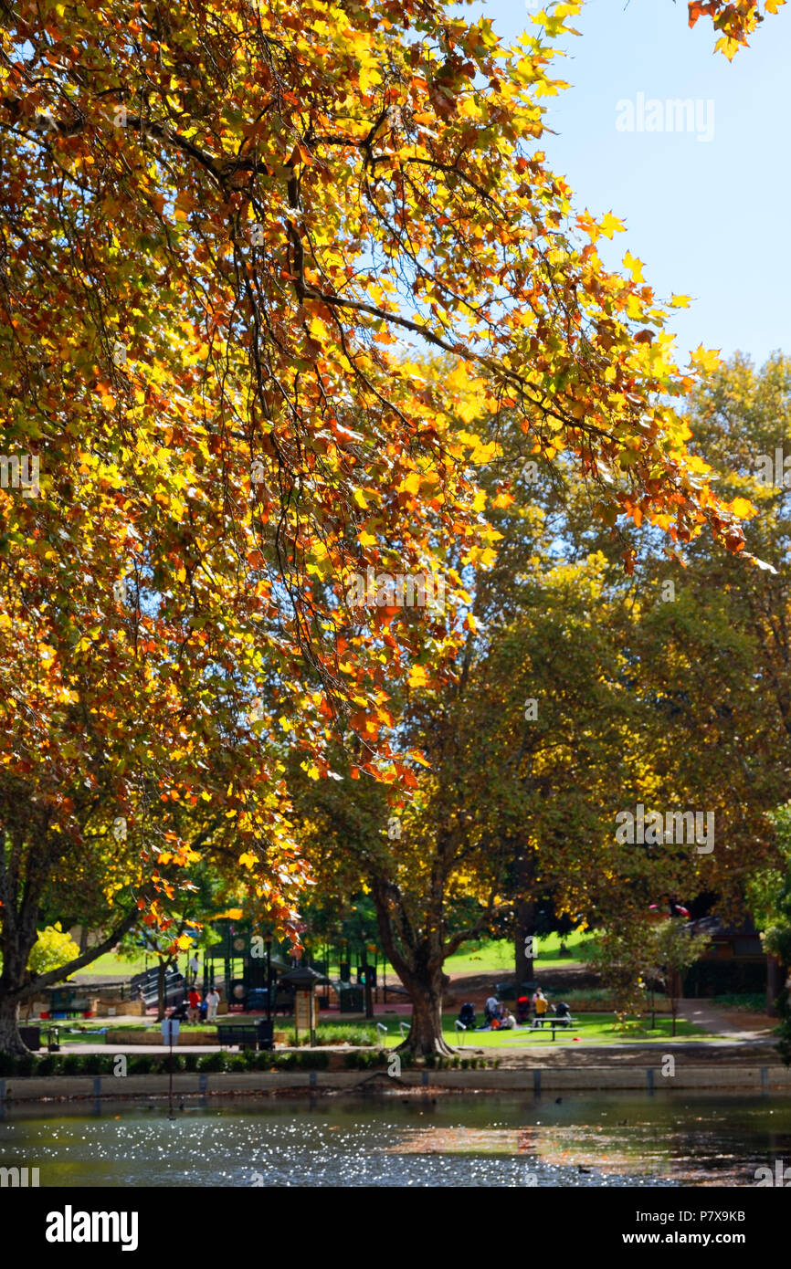 Hyde Park Perth in Autumn Stock Photo - Alamy