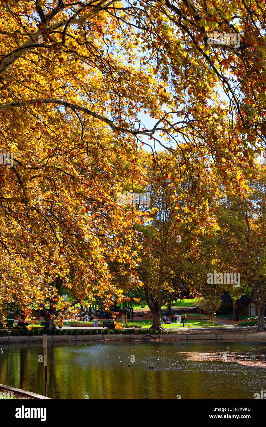 Hyde Park Perth in Autumn Stock Photo - Alamy