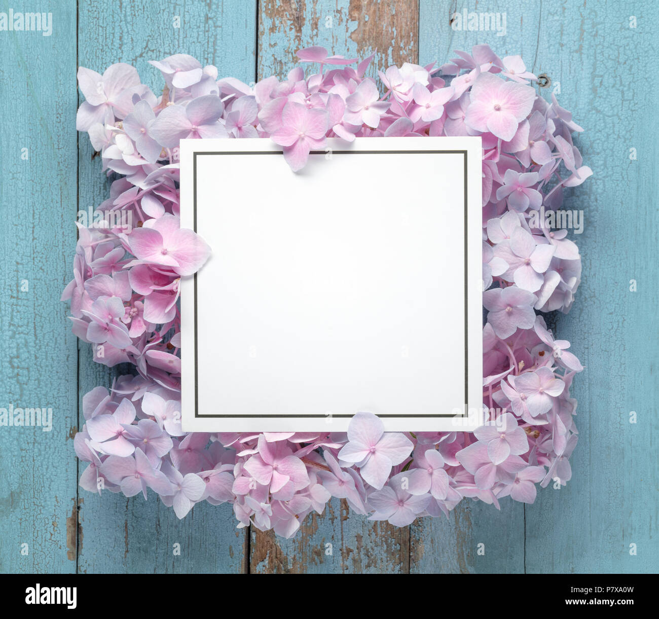 Blank card design hi-res stock photography and images - Alamy