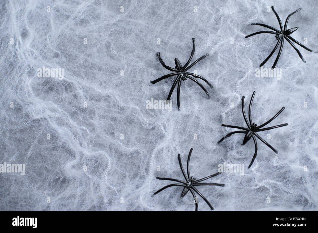 Cobweb with Black Spiders on Dark Cobweb Backround, Halloween Holiday ...