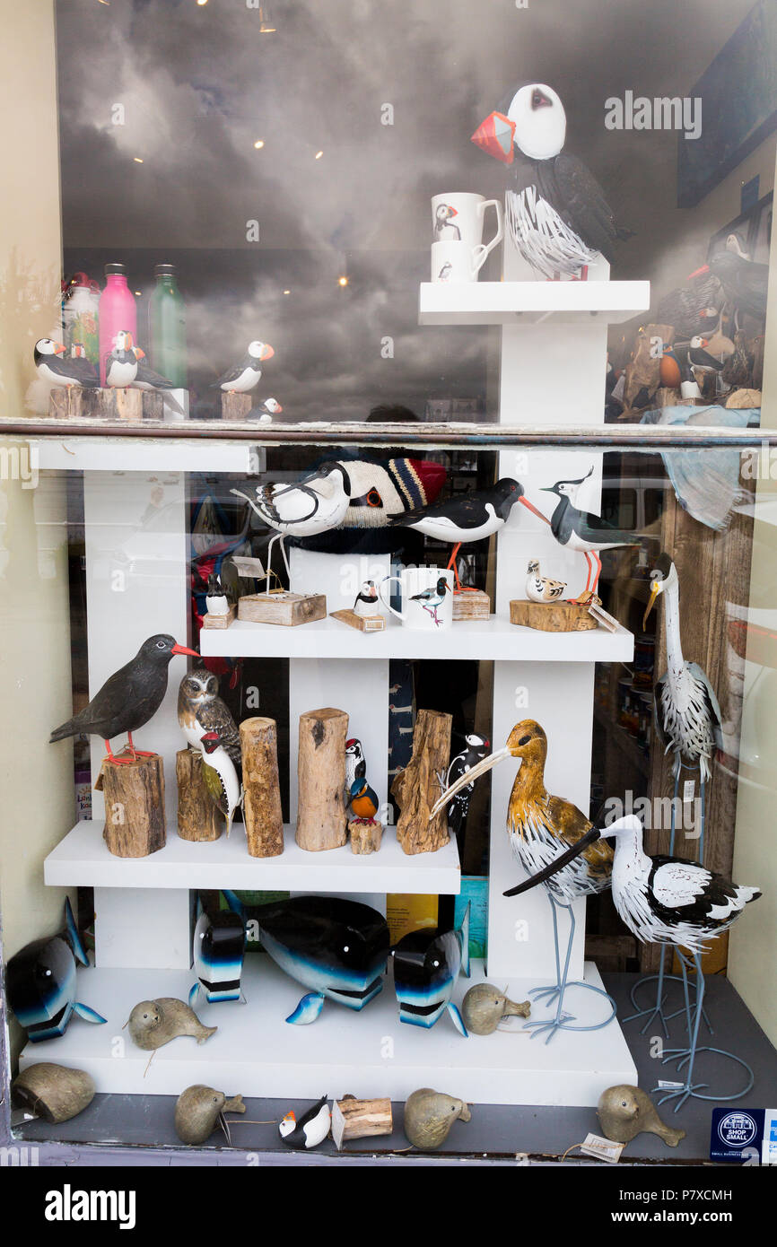 Mull birds hi-res stock photography and images - Alamy