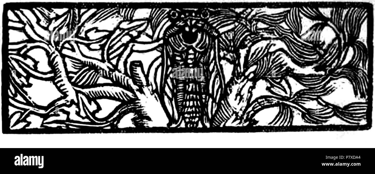 Sofocle sofocle hi-res stock photography and images - Alamy