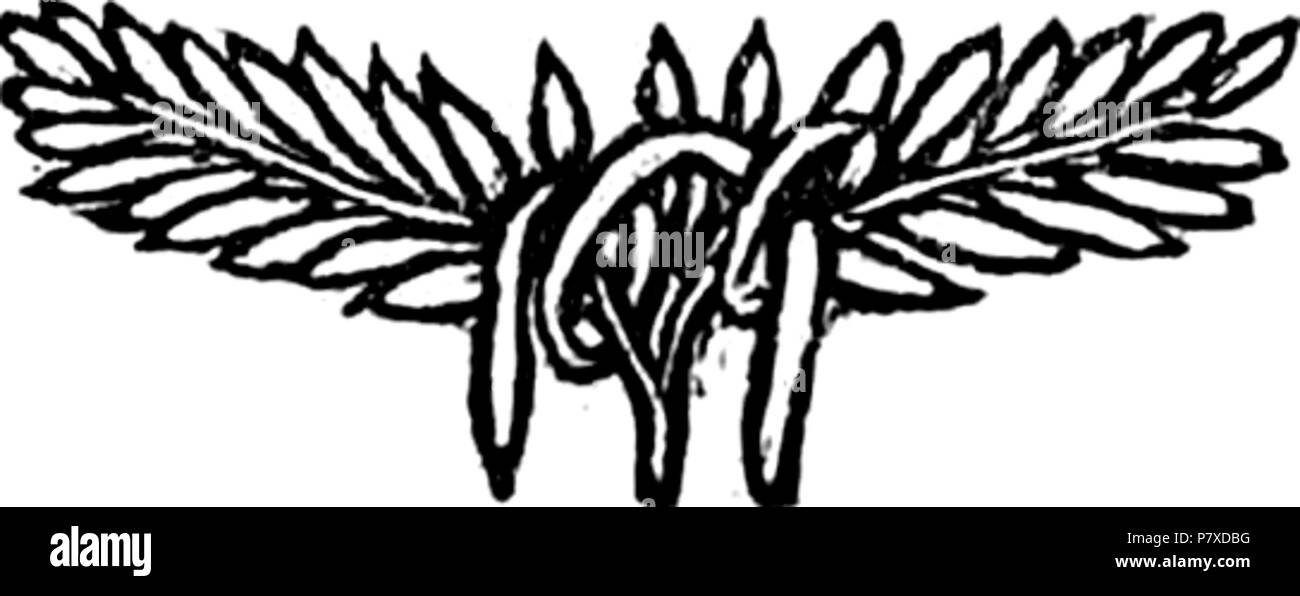 Sofocle sofocle hi-res stock photography and images - Alamy