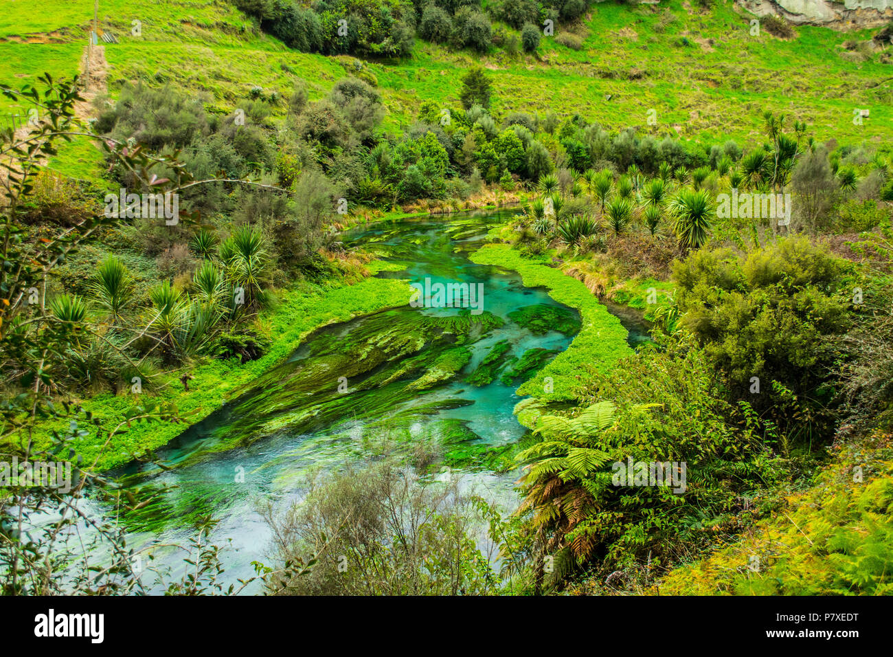 Crystal clear river flowing with spring water Stock Photo - Alamy