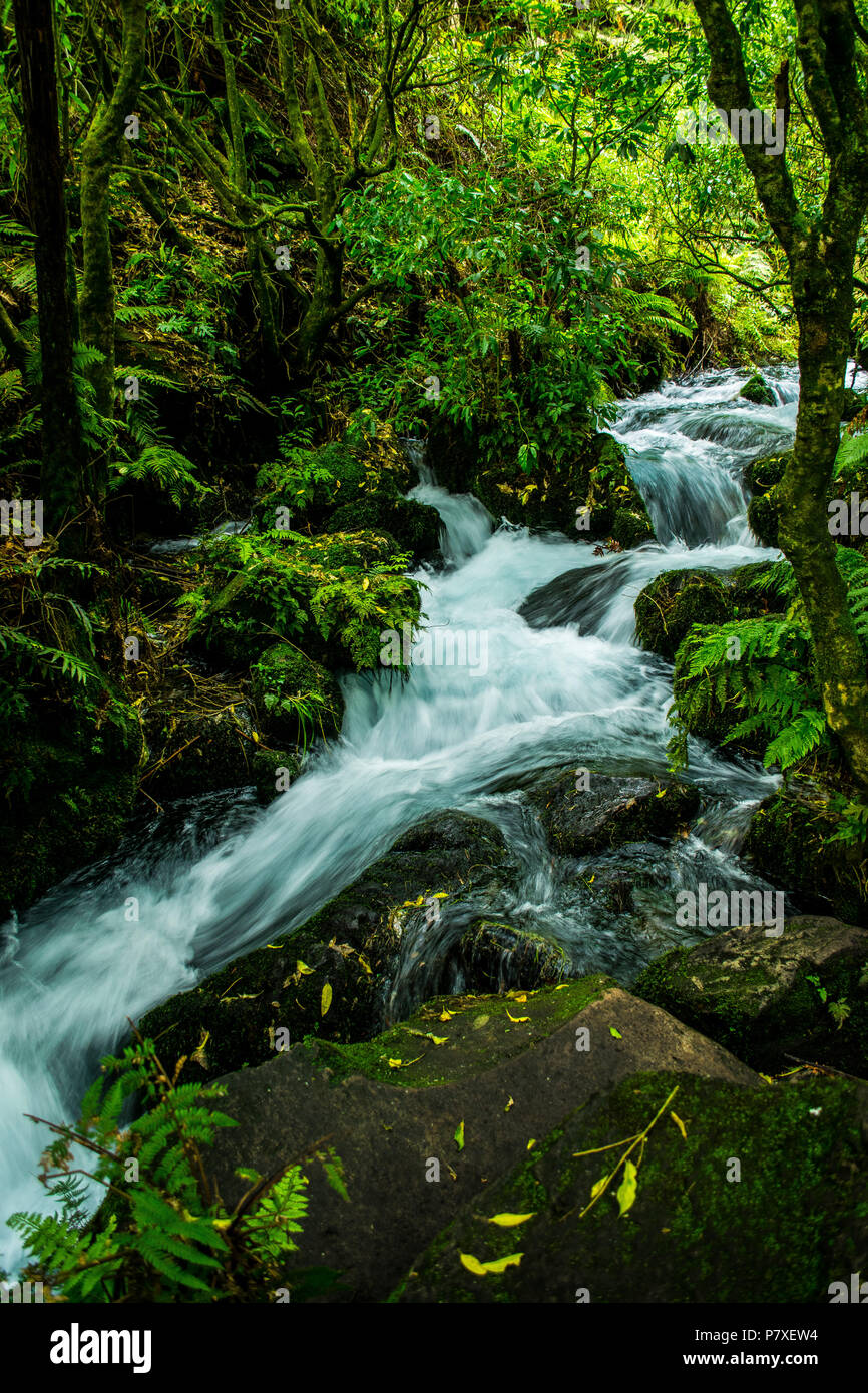 Peaceful stream flowing through rocks hi-res stock photography and ...