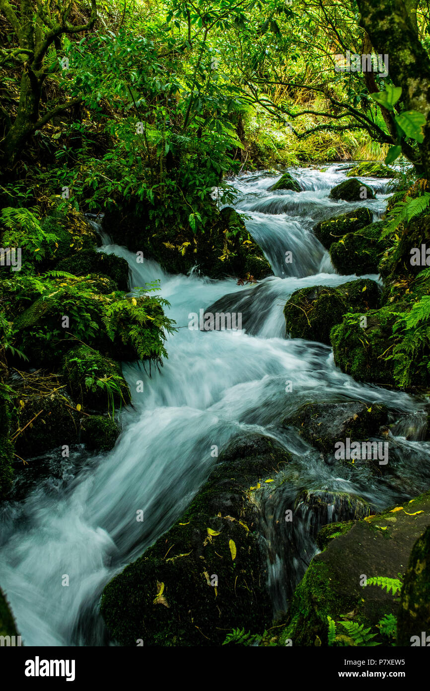 Peaceful stream flowing through rocks hi-res stock photography and ...