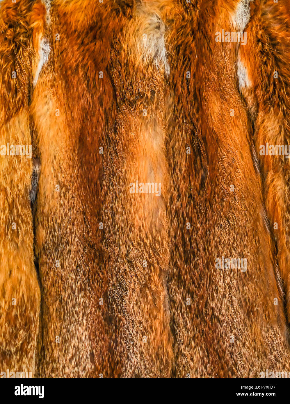 Fox fur texture hi-res stock photography and images - Alamy