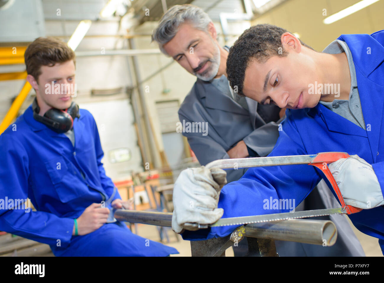 Apprentice learning to use a bow saw Stock Photo - Alamy