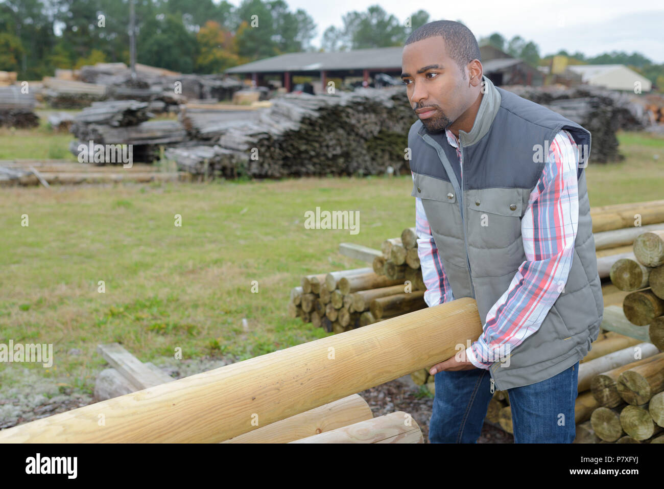 lumberjack working outdoors Stock Photo - Alamy