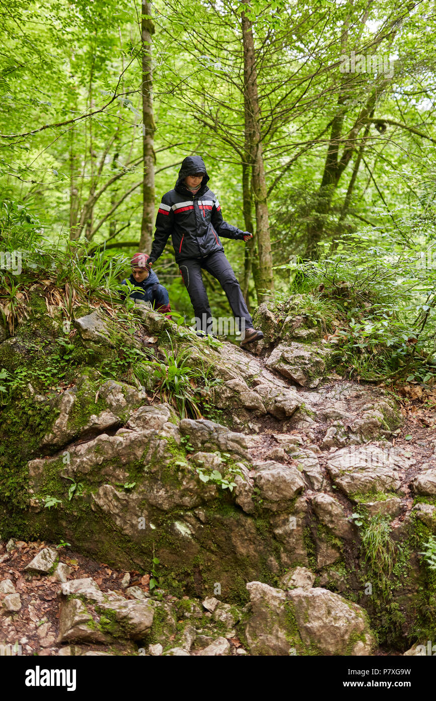 Group of people hiking on a trail in the mountain forest Stock Photo ...