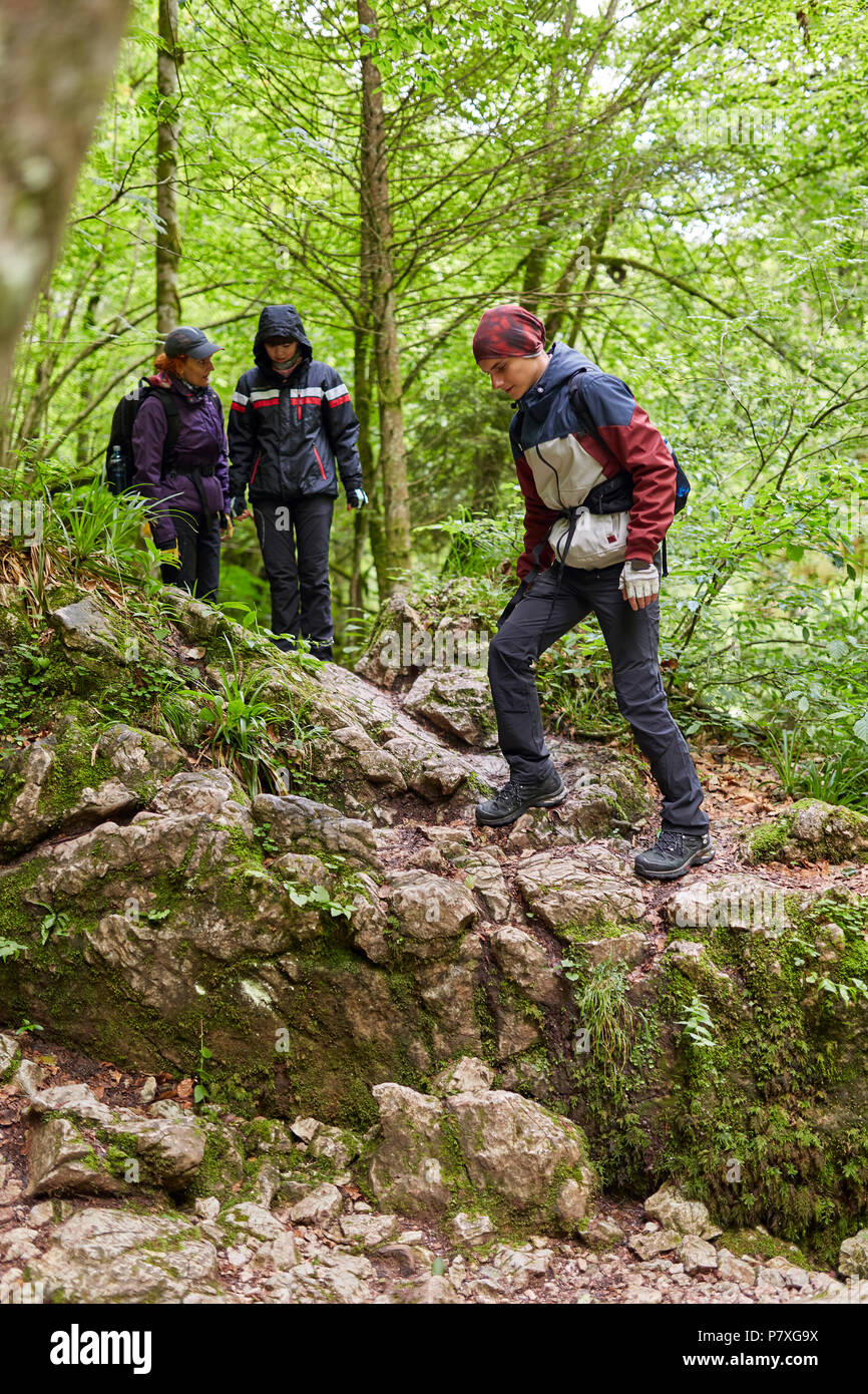 Group of people hiking on a trail in the mountain forest Stock Photo ...