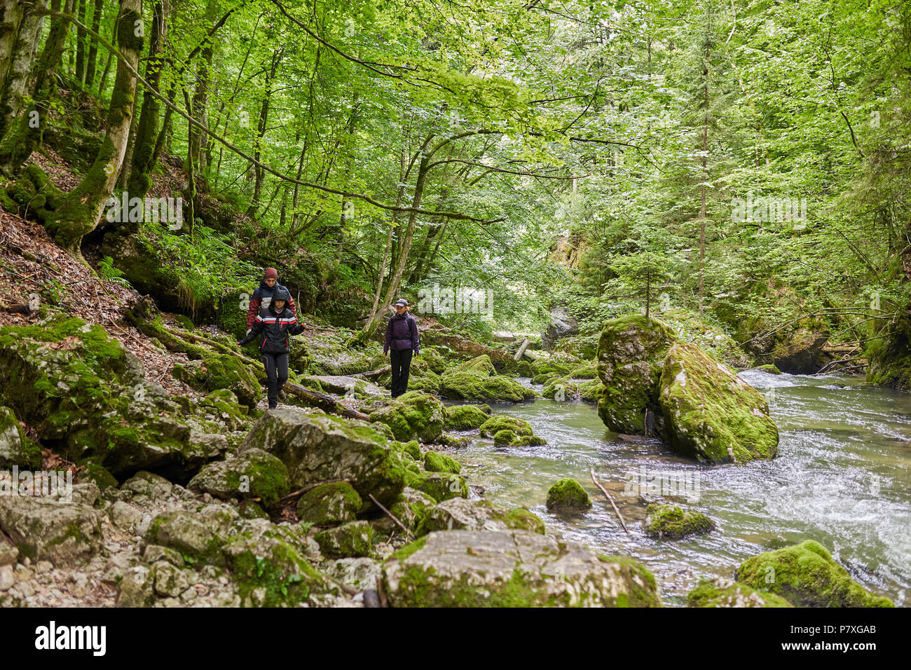 Group of people hiking on a trail in the mountain forest Stock Photo ...