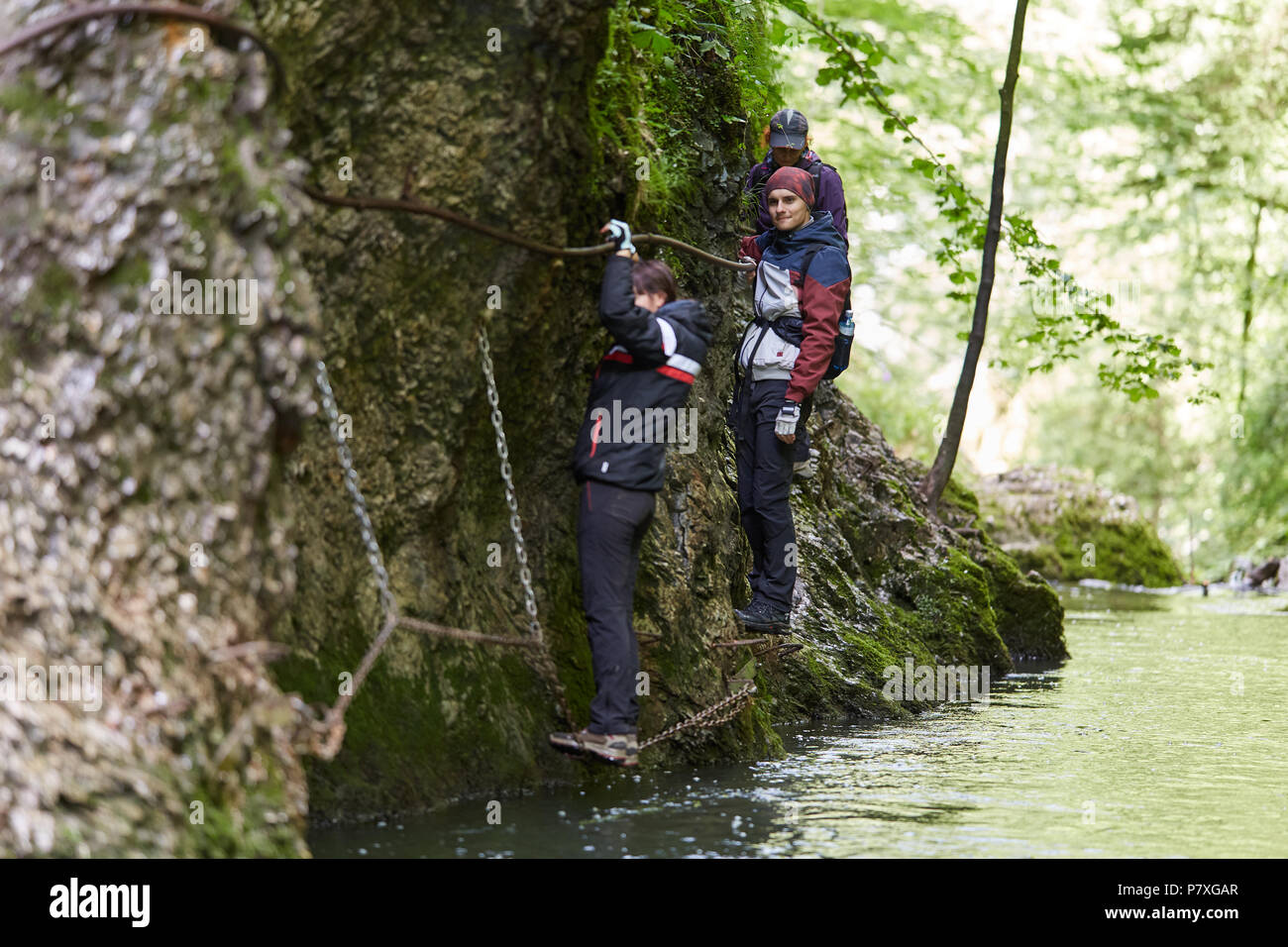 Group of people hiking on a trail in the mountain forest Stock Photo ...