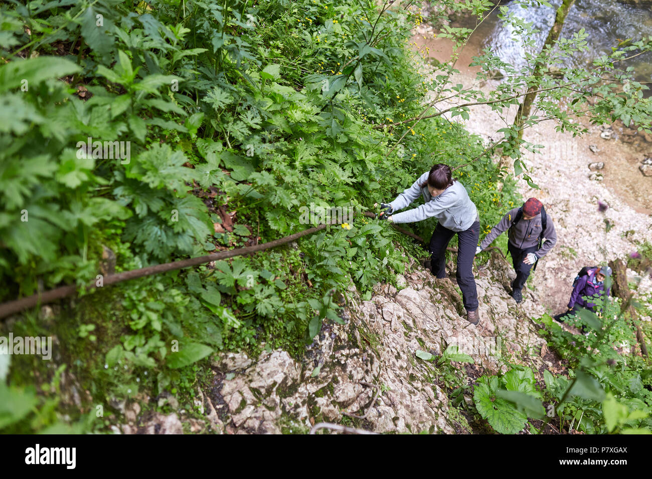 Group of people hiking on a trail in the mountain forest Stock Photo ...