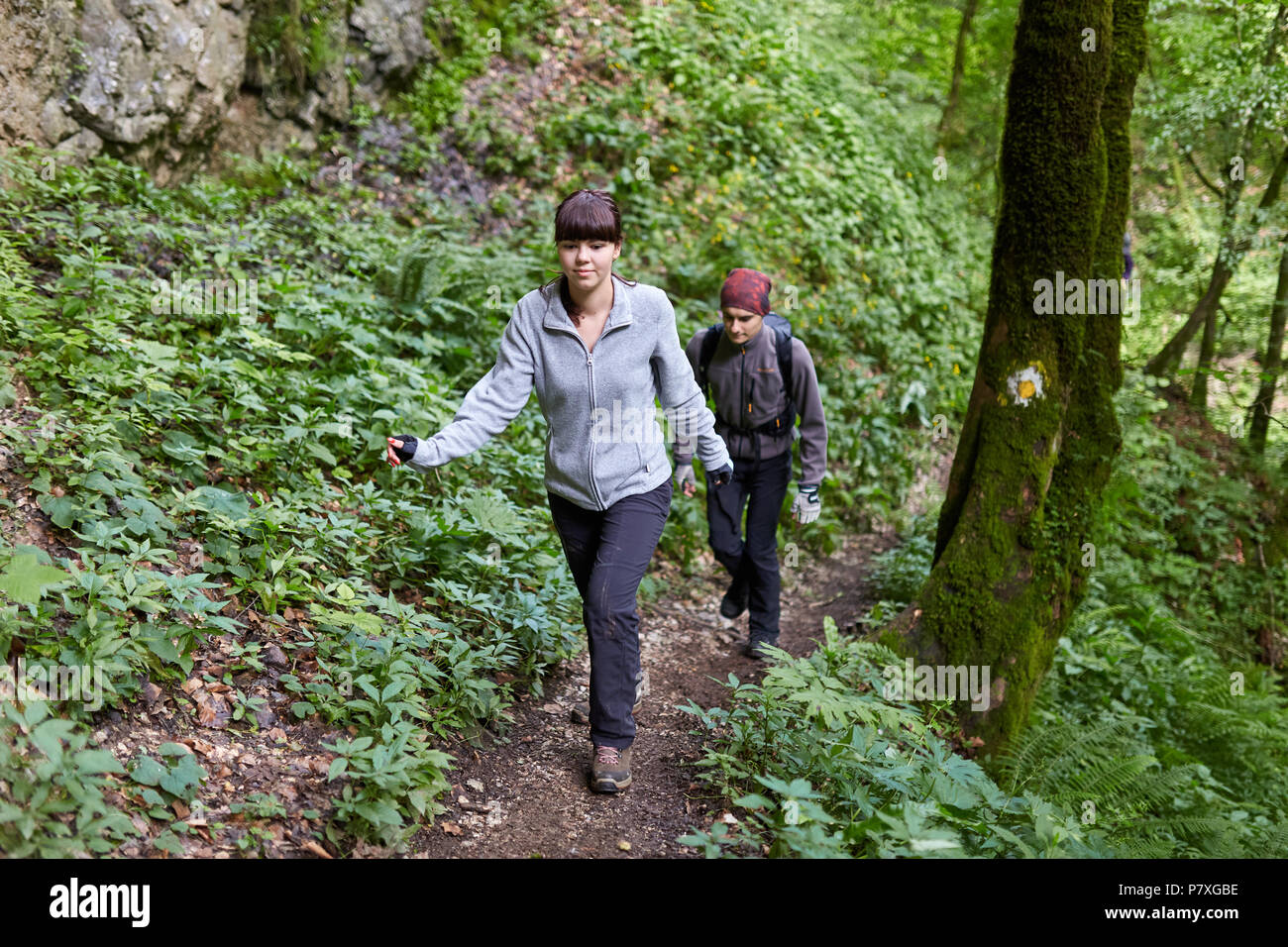 Group of people hiking on a trail in the mountain forest Stock Photo ...
