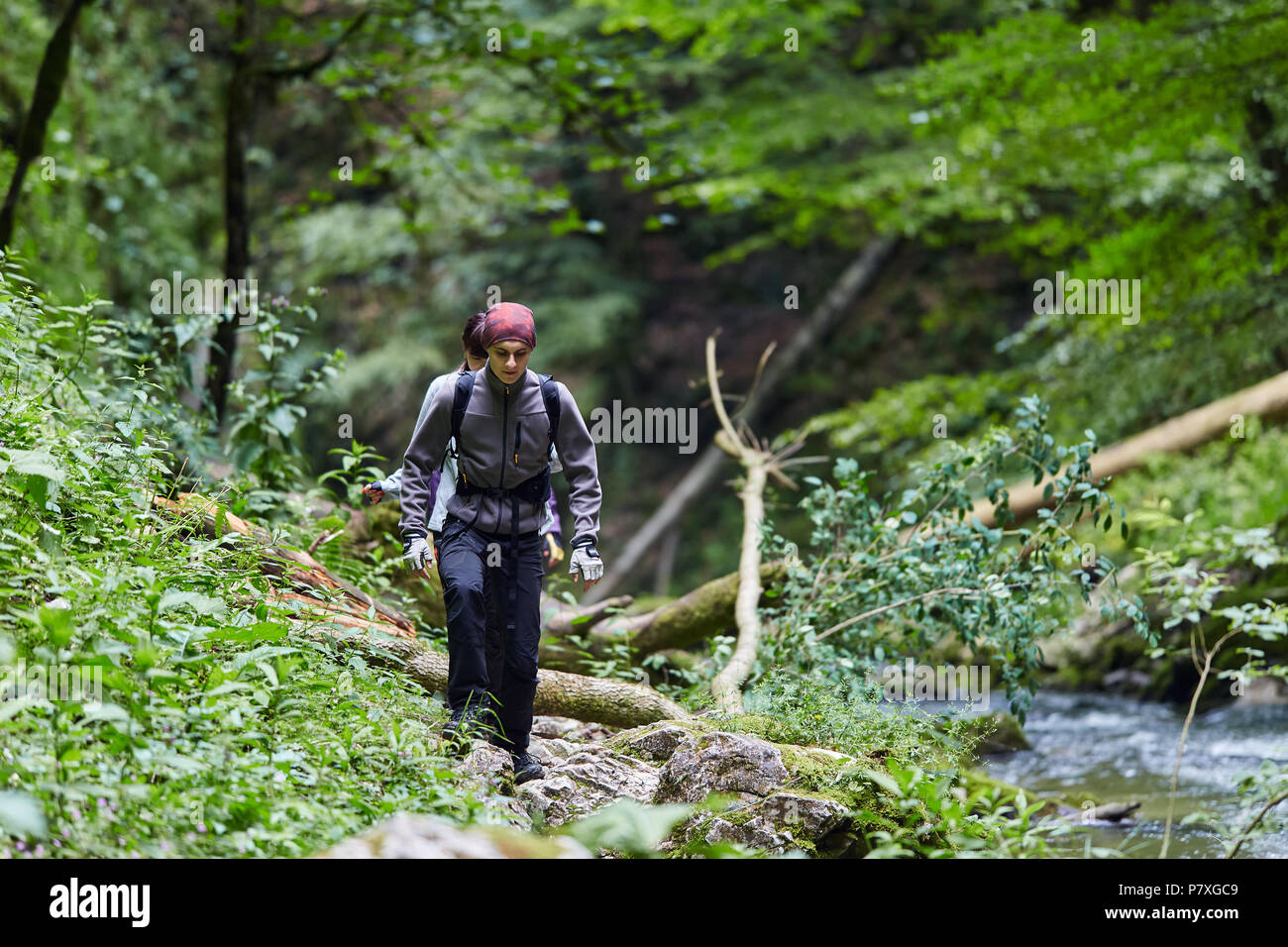 Group of people hiking on a trail in the mountain forest Stock Photo ...