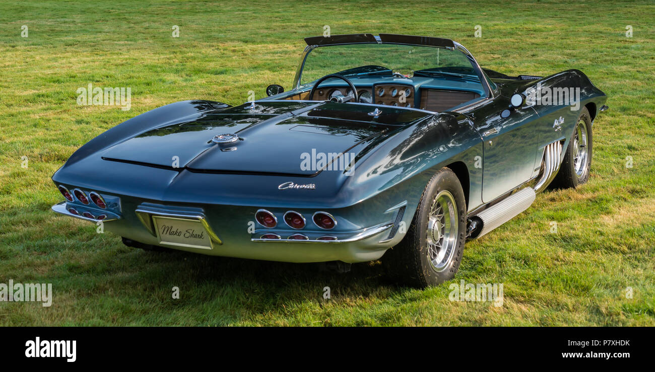 Mako Shark Corvette Concept Car