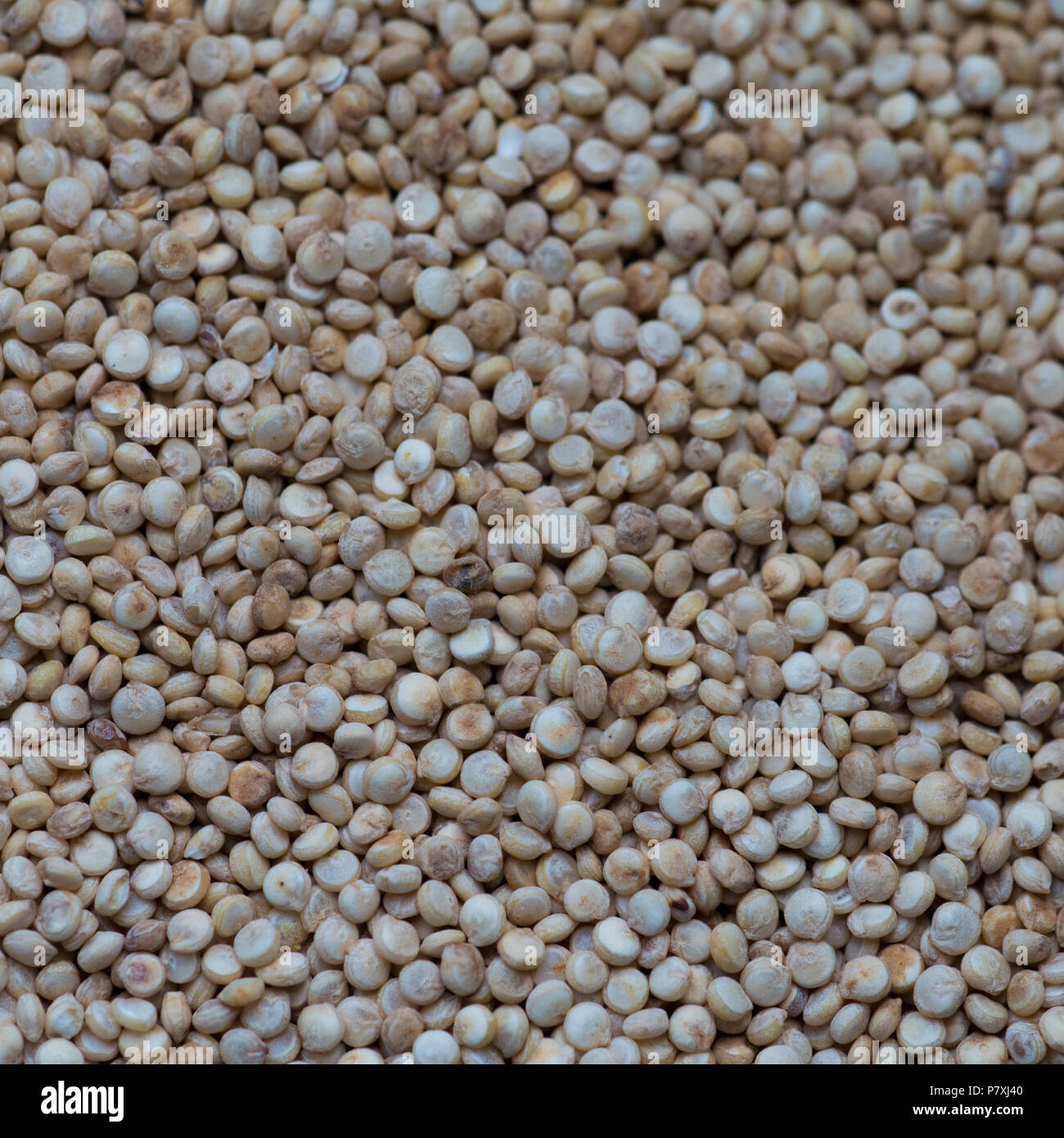 Quinoa in bulk Stock Photo - Alamy