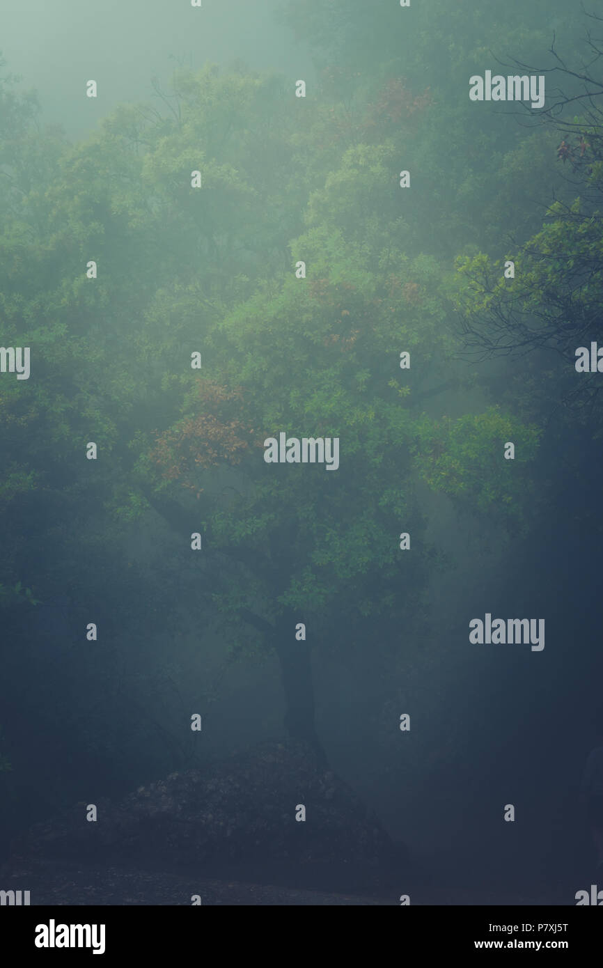 Nightmare scenery hi-res stock photography and images - Alamy