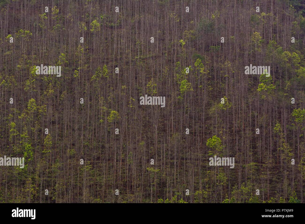 Vertical upward angle of view hi-res stock photography and images - Alamy