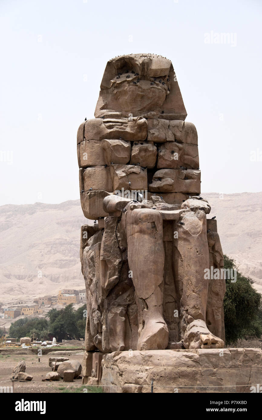 One of the two Colossi of Memnon, massive stone statues of Pharaoh ...