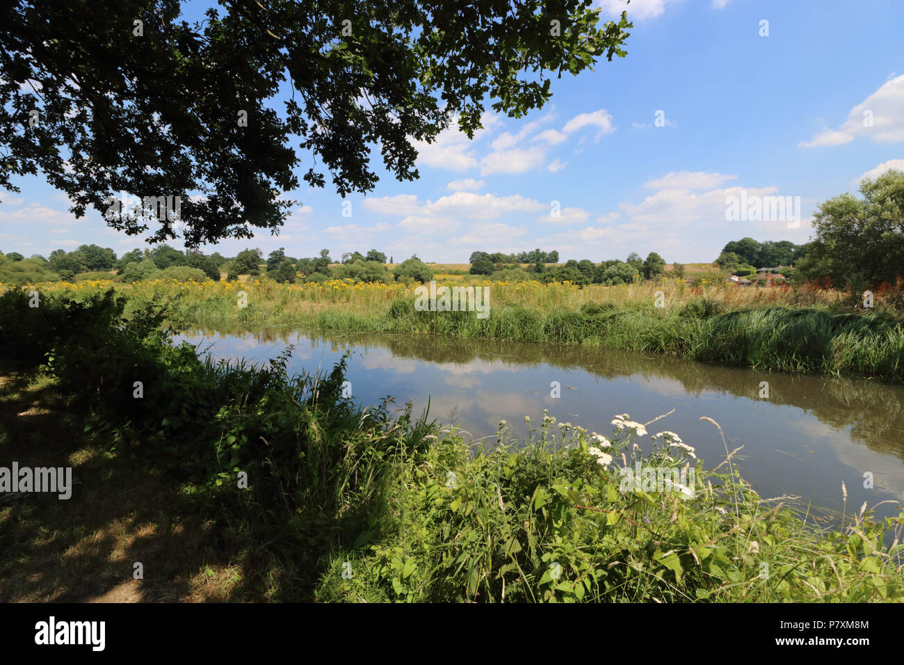 River wey and canoe hi-res stock photography and images - Alamy