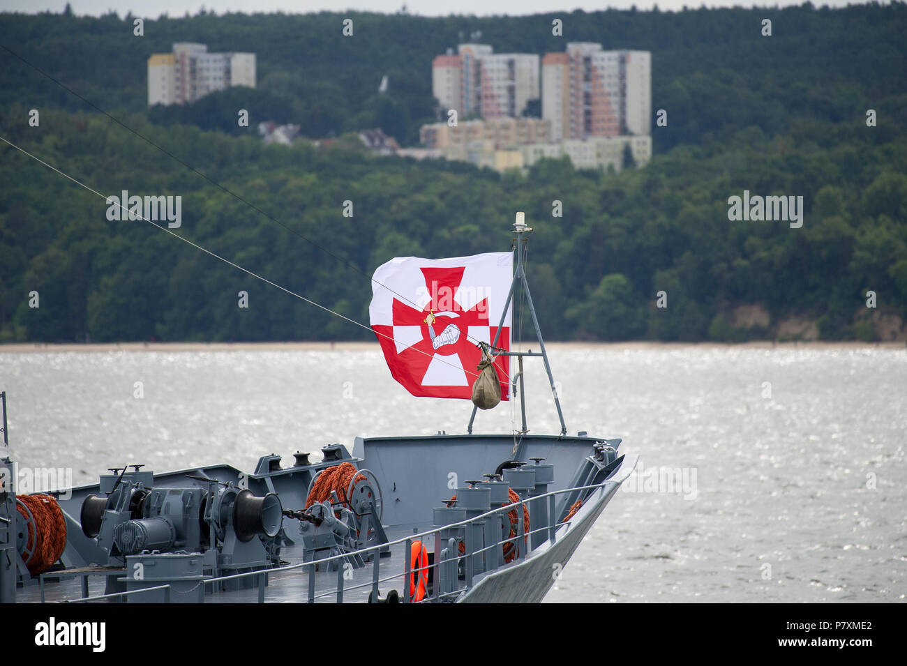 Orp kormoran hi-res stock photography and images - Alamy
