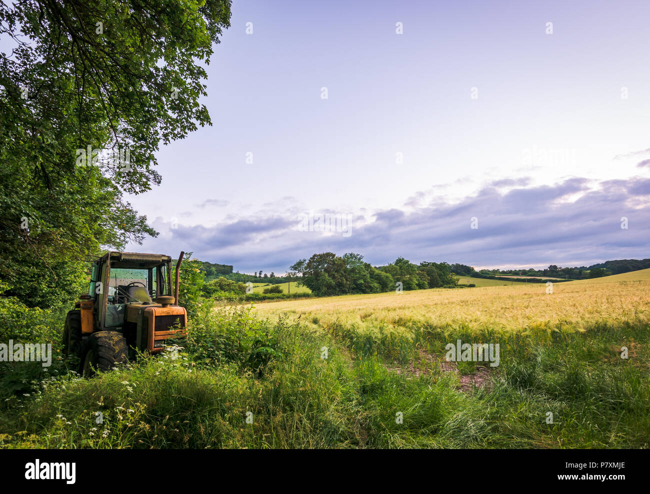 Old field abandoned hi-res stock photography and images - Alamy
