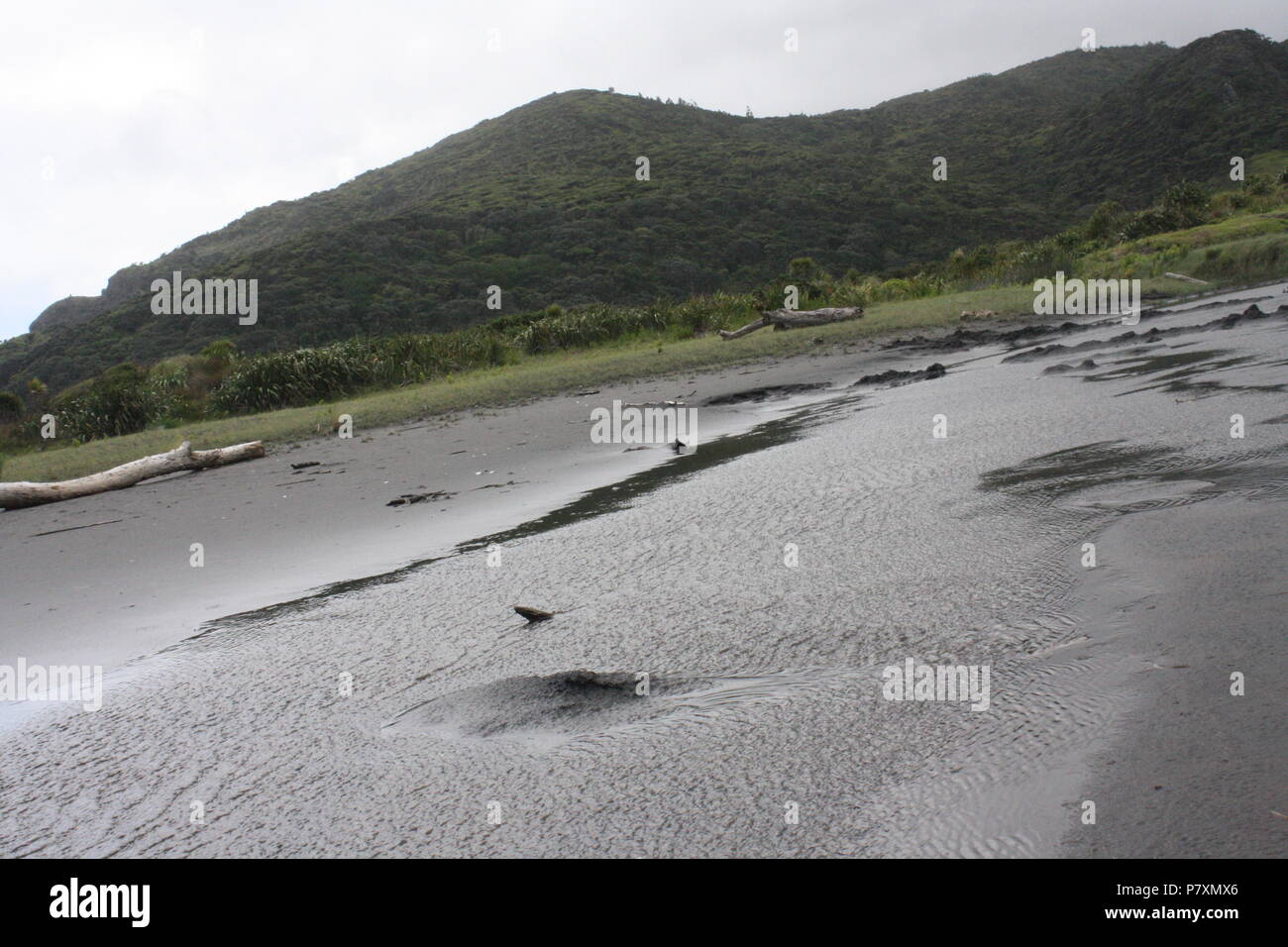 Piha beach nz hi-res stock photography and images - Alamy