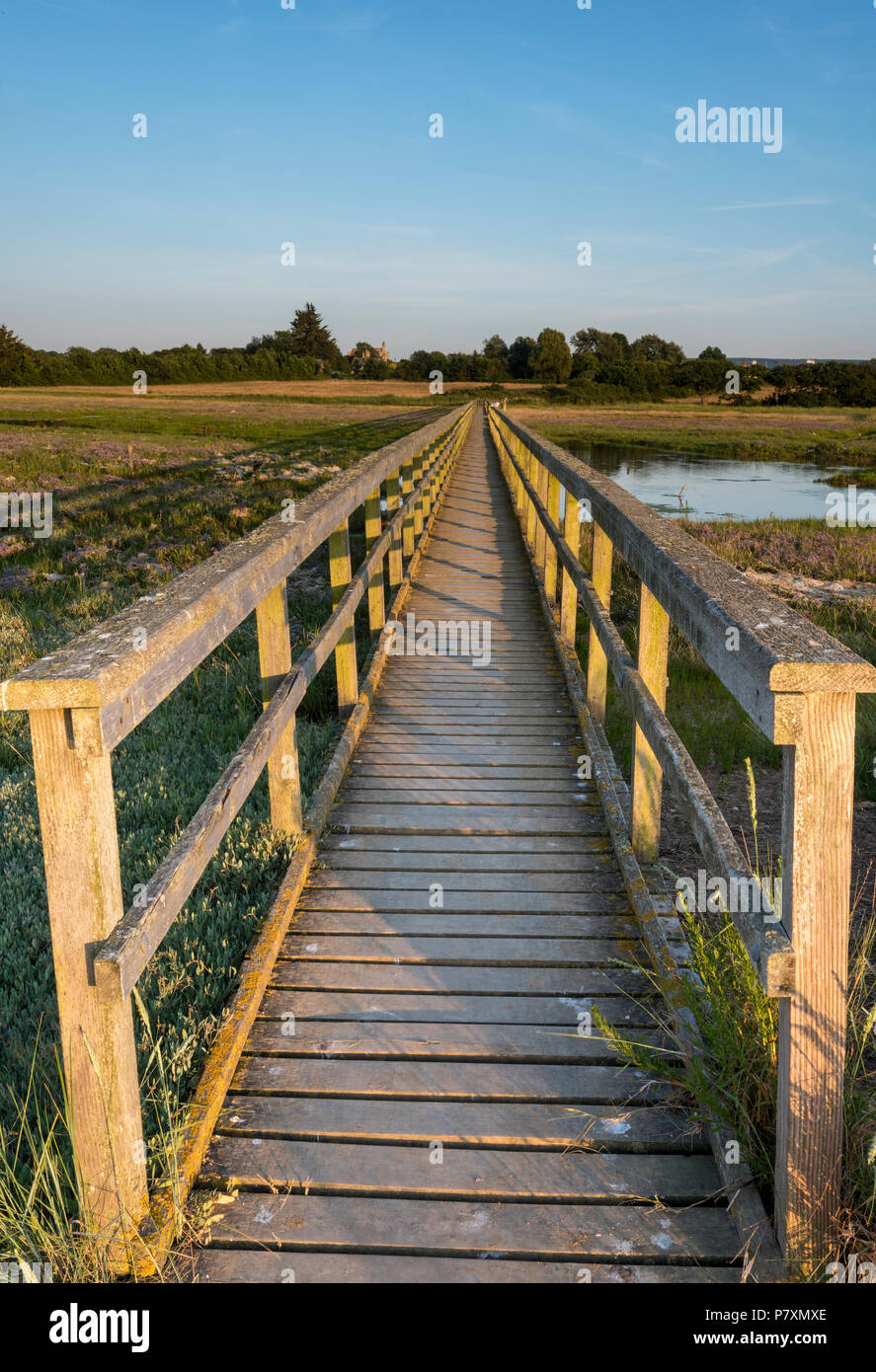 boardwalk bridge at newtown creek on the isle of wight Stock Photo - Alamy