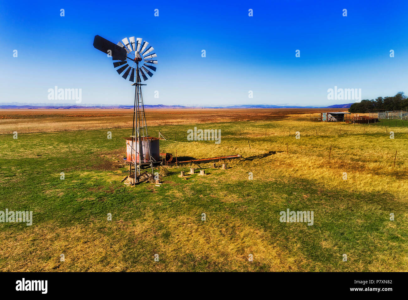 Windmill cattle country hi-res stock photography and images - Alamy