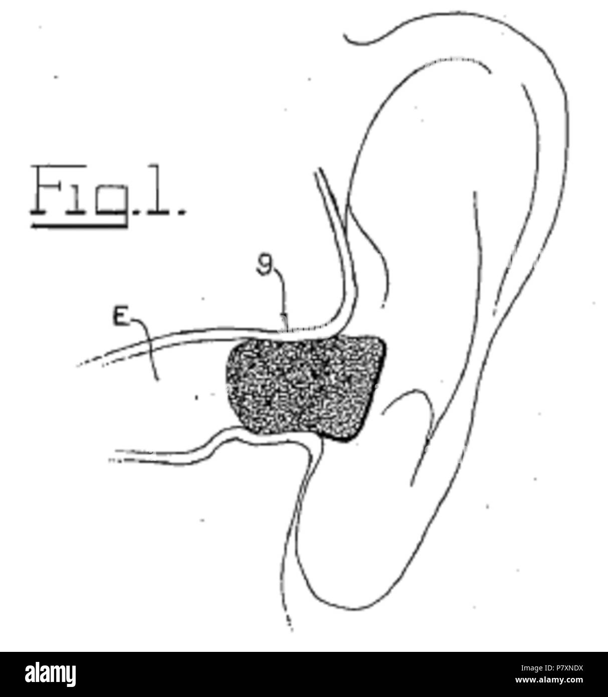 Faconner Cut Out Stock Images & Pictures - Alamy