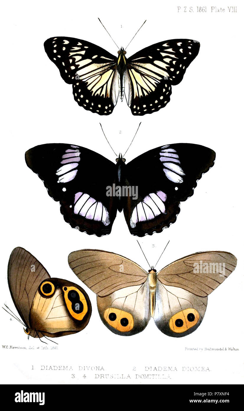 Maluku islands Cut Out Stock Images & Pictures - Alamy