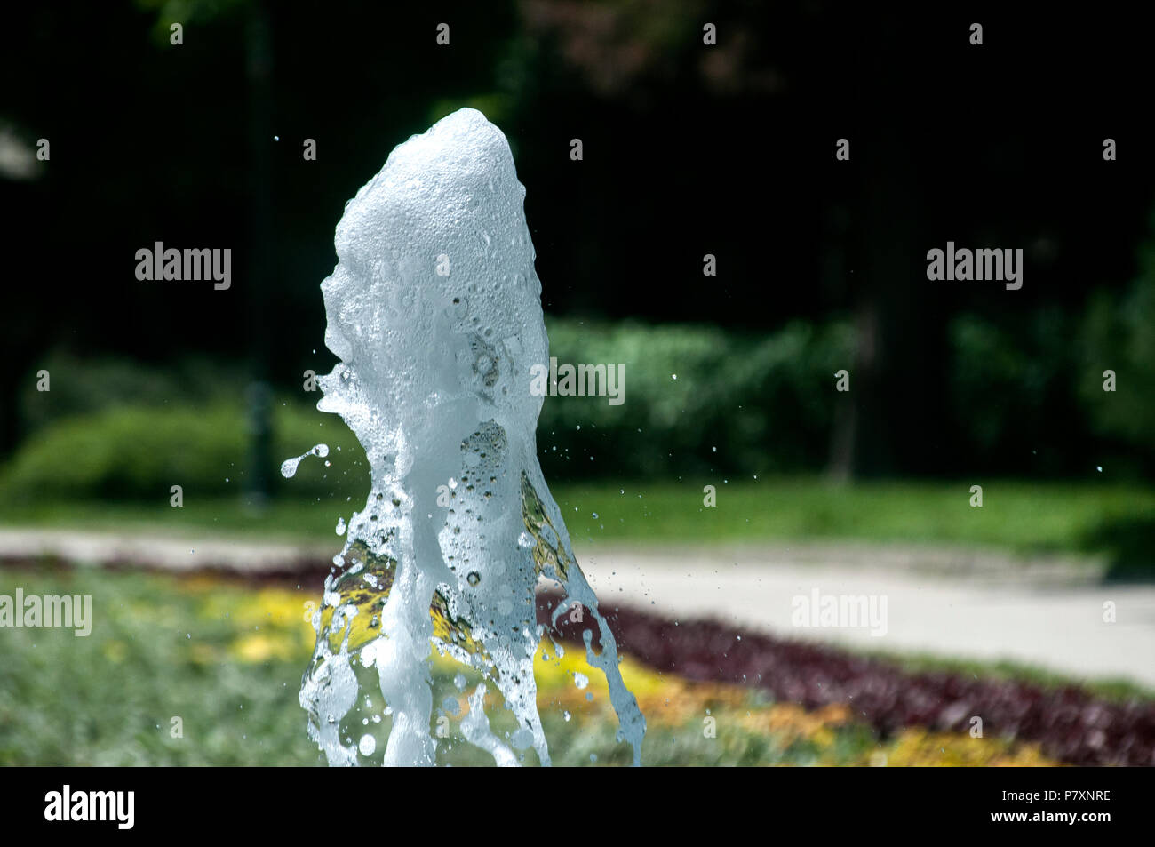 A close snapshot of gushing water with bizarre forms from a fountain in ...