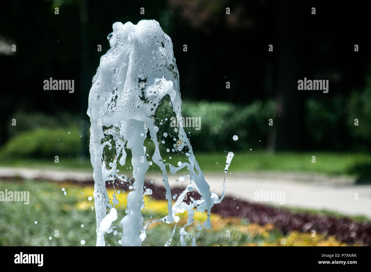 A close snapshot of gushing water with bizarre forms from a fountain in ...