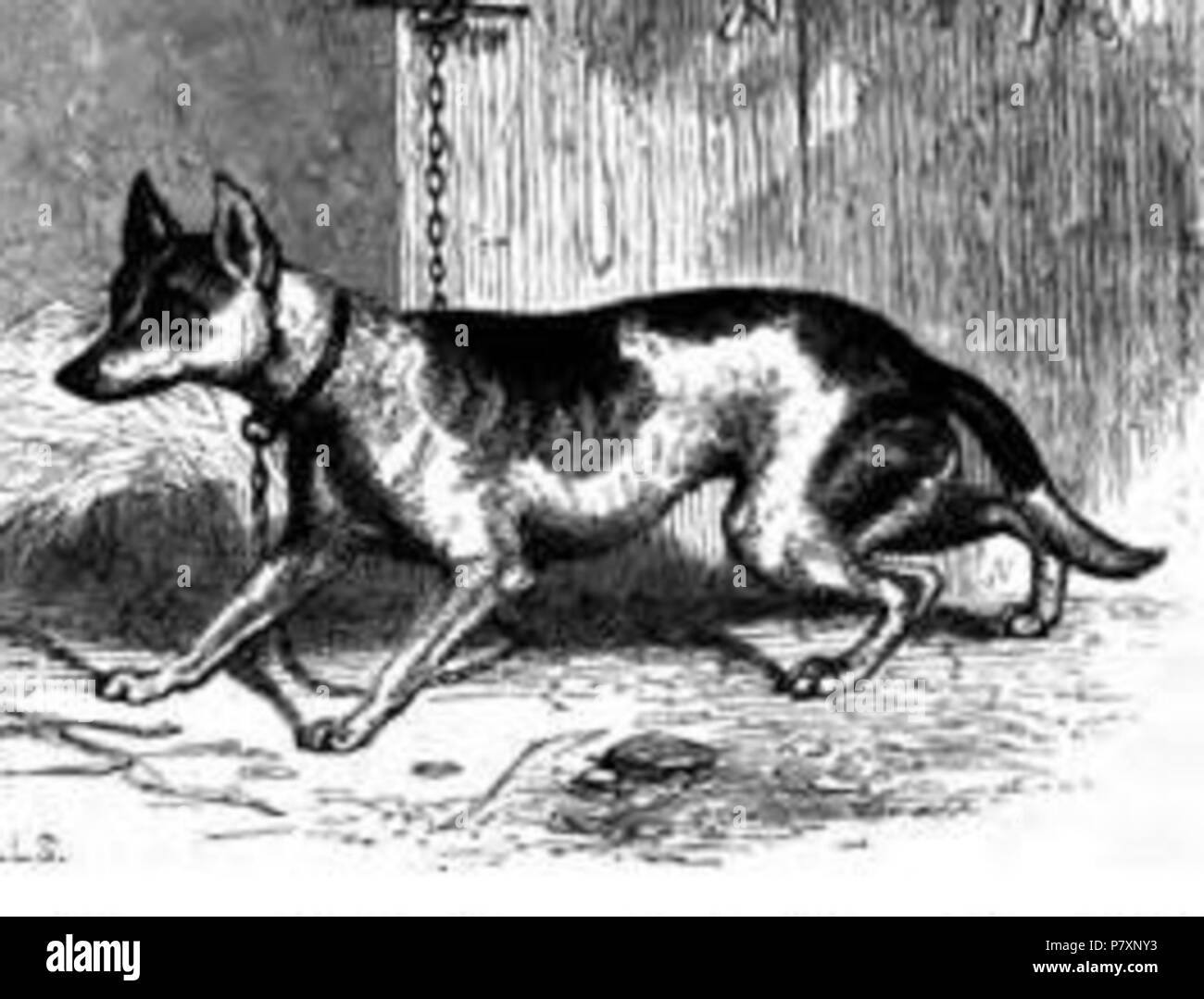 Hybrid research Black and White Stock Photos & Images - Alamy