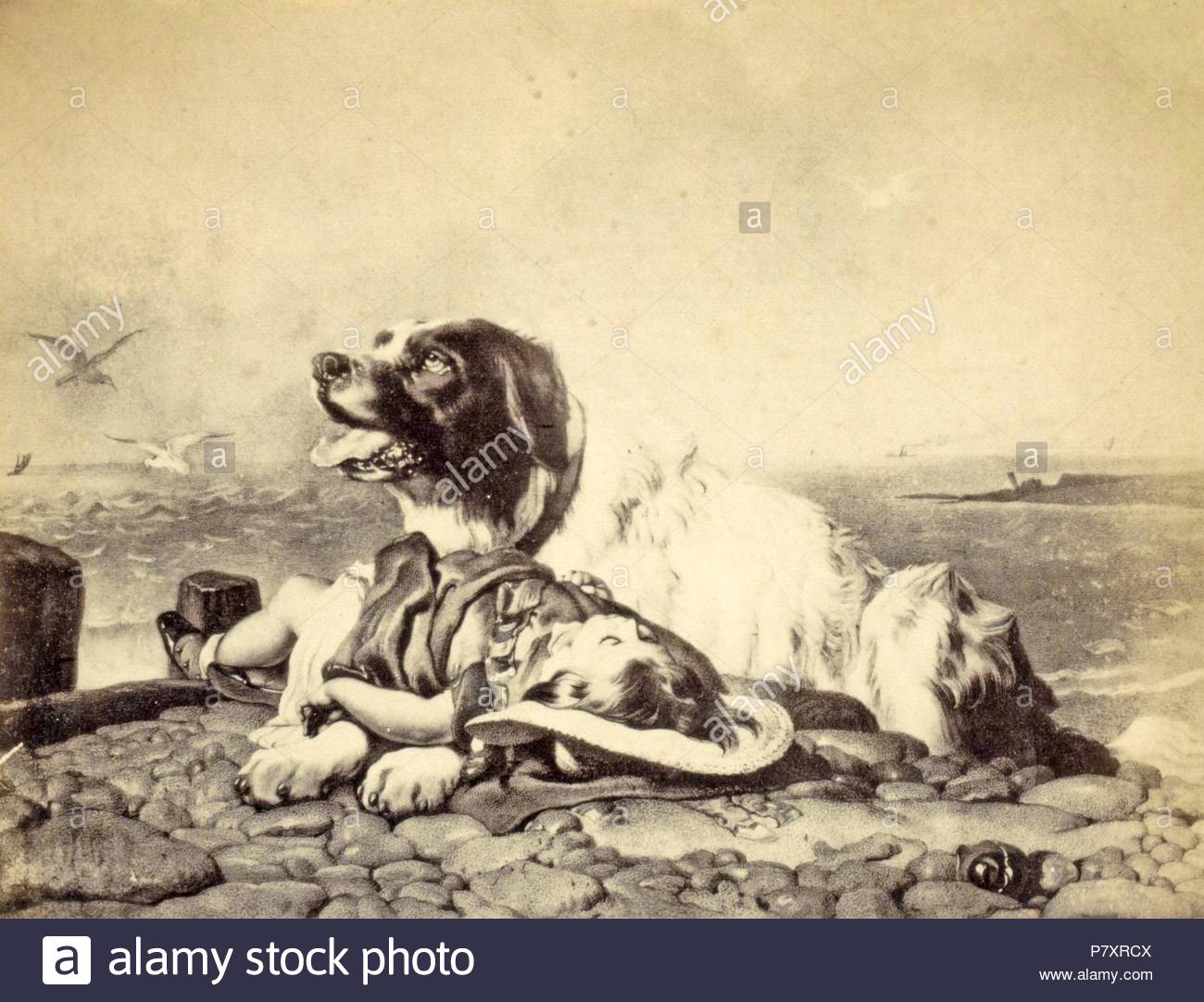 Edwin Henry Landseer Stock Photos & Edwin Henry Landseer Stock Images ...