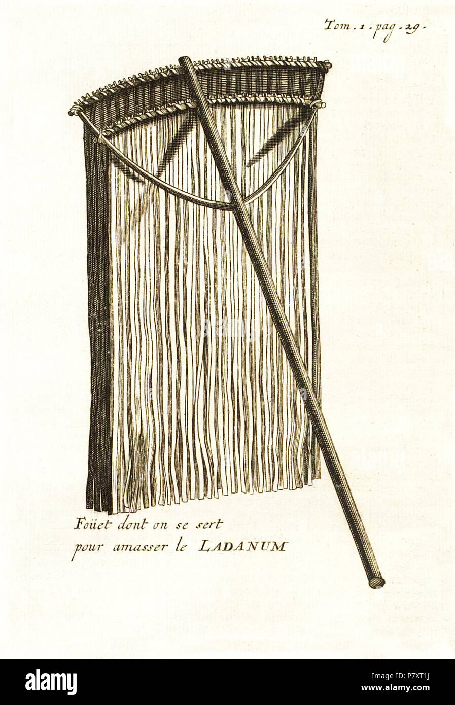 Fouet hi-res stock photography and images - Alamy